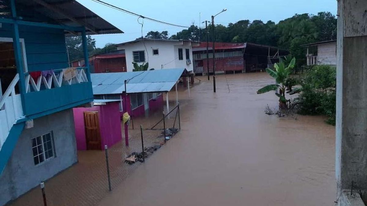ENSA anuncia afectaciones en Sambú, Garachiné, Piña y Jaqué tras ...