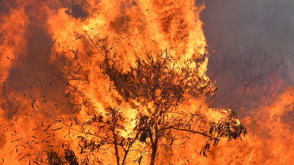 Incendio forestal en Hawaii consume la isla de Maui