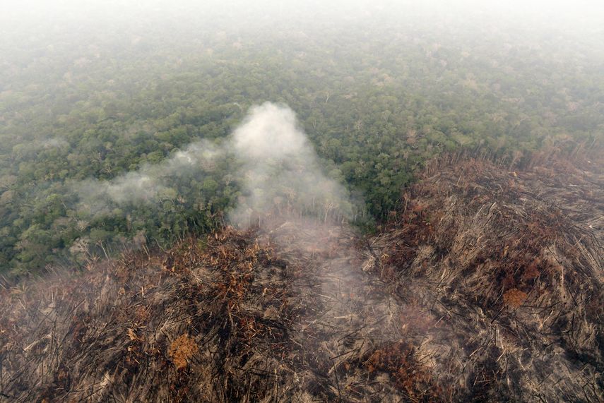 La Amazonia arde en la nueva frontera de la deforestación