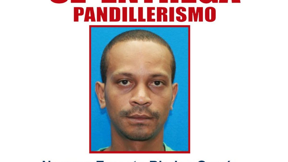 Se entrega Norman Ernesto, uno de los más buscados por pandillerismo