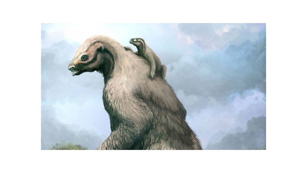 Descubren un fósil de megaterio de más de 3,5 millones de años en Argentina