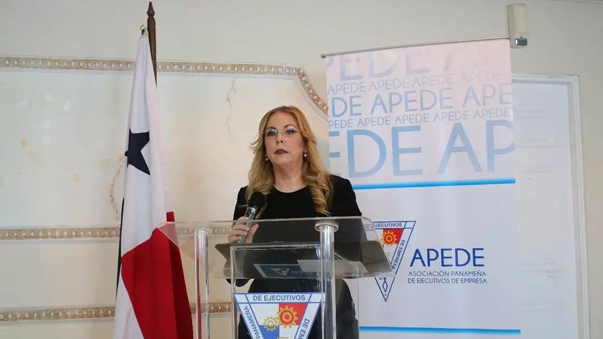 Apede se pronuncia contra fuero penal electoral y pide veto de proyecto ...