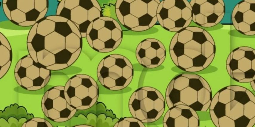 Acertijo visual para campeones: Encuentra la tortuga en los balones de ...