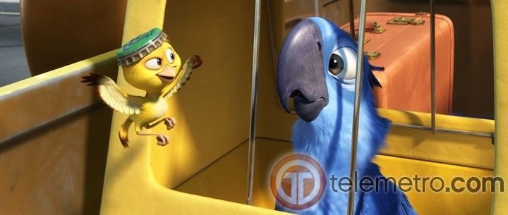 Personajes de la película Rio