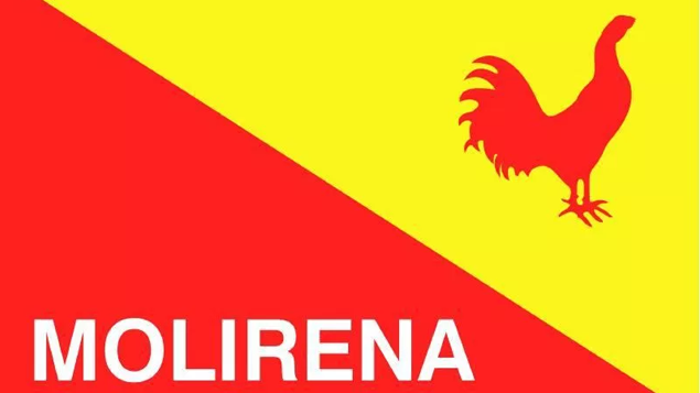 Movimiento Liberal Republicano Nacionalista (Molirena)