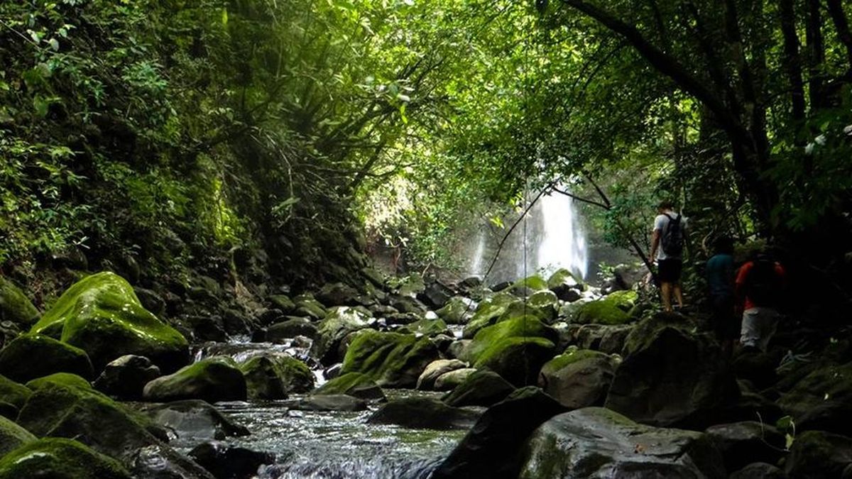 Reglamentan acceso al uso de recursos biológicos y genéticos para ...