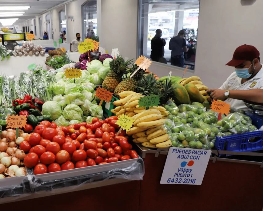 Merca Panamá hará historia con la ensalada más grande del país