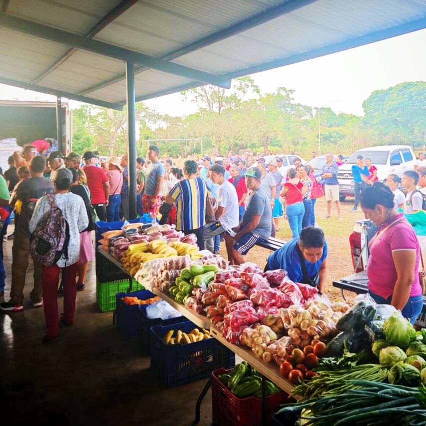 Gran Agroferia del IMA en Merca Panamá, será el domingo 17 de agosto 2025