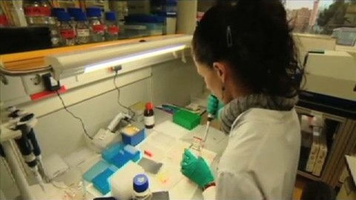 Proyecto ENCODE permite descripción del mapa del genoma humano