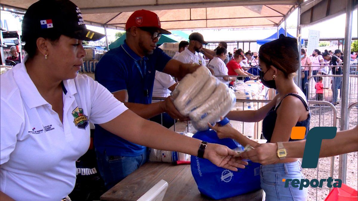 Consumidores adquieren productos económicos en la agroferia del IMA en ...