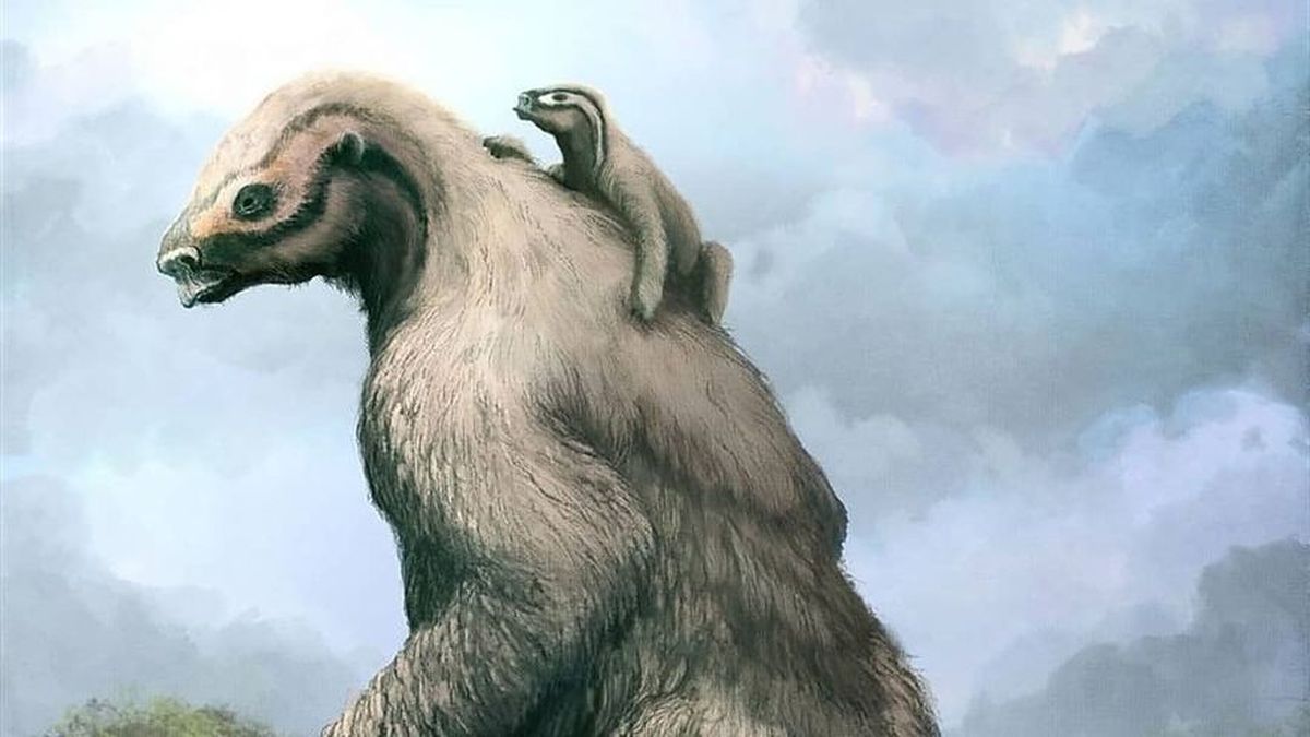 Descubren un fósil de megaterio de más de 3,5 millones de años en Argentina