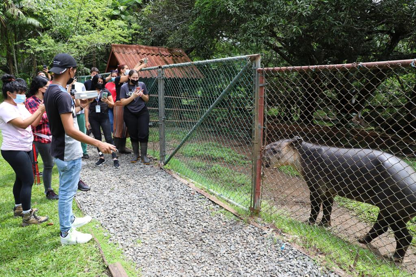 Parque Summit recibe más de 400 animales rescatados anualmente