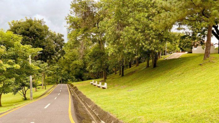 Últimas noticias sobre Parque Recreativo Omar