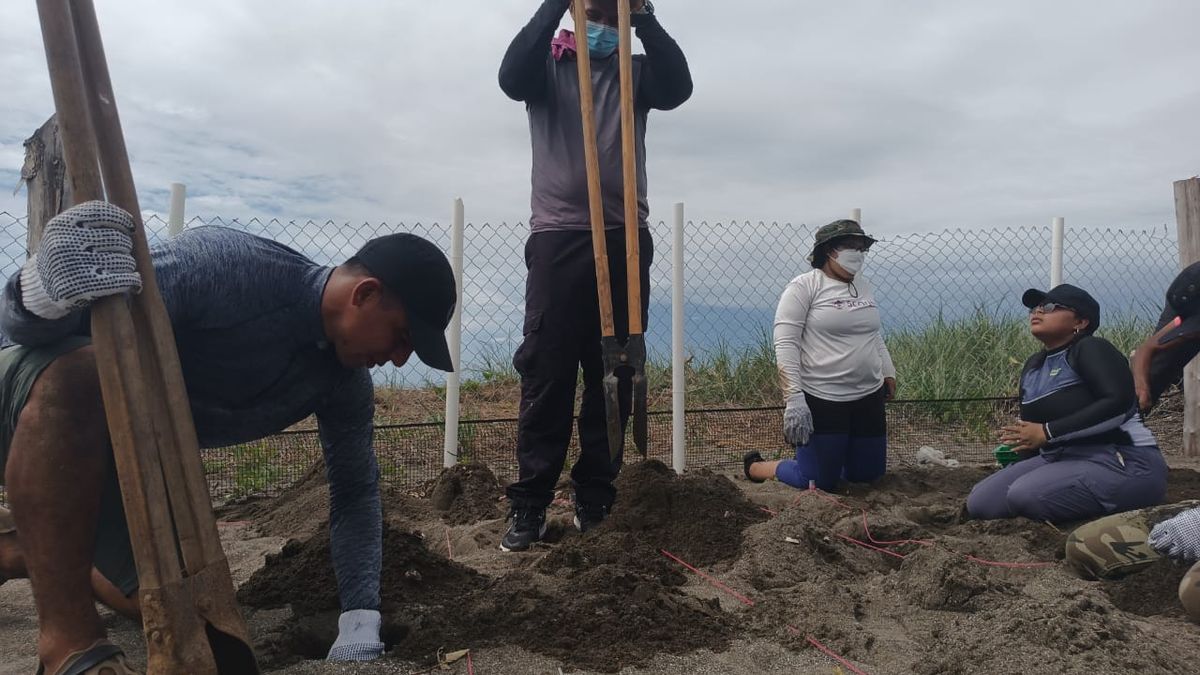 Amplían capacidad del vivero de Refugio de Vida Silvestre de Isla Cañas