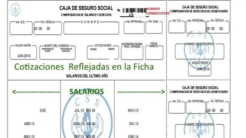 CSS, ficha digital: Así puedes acceder a la ficha de la Caja de Seguro ...