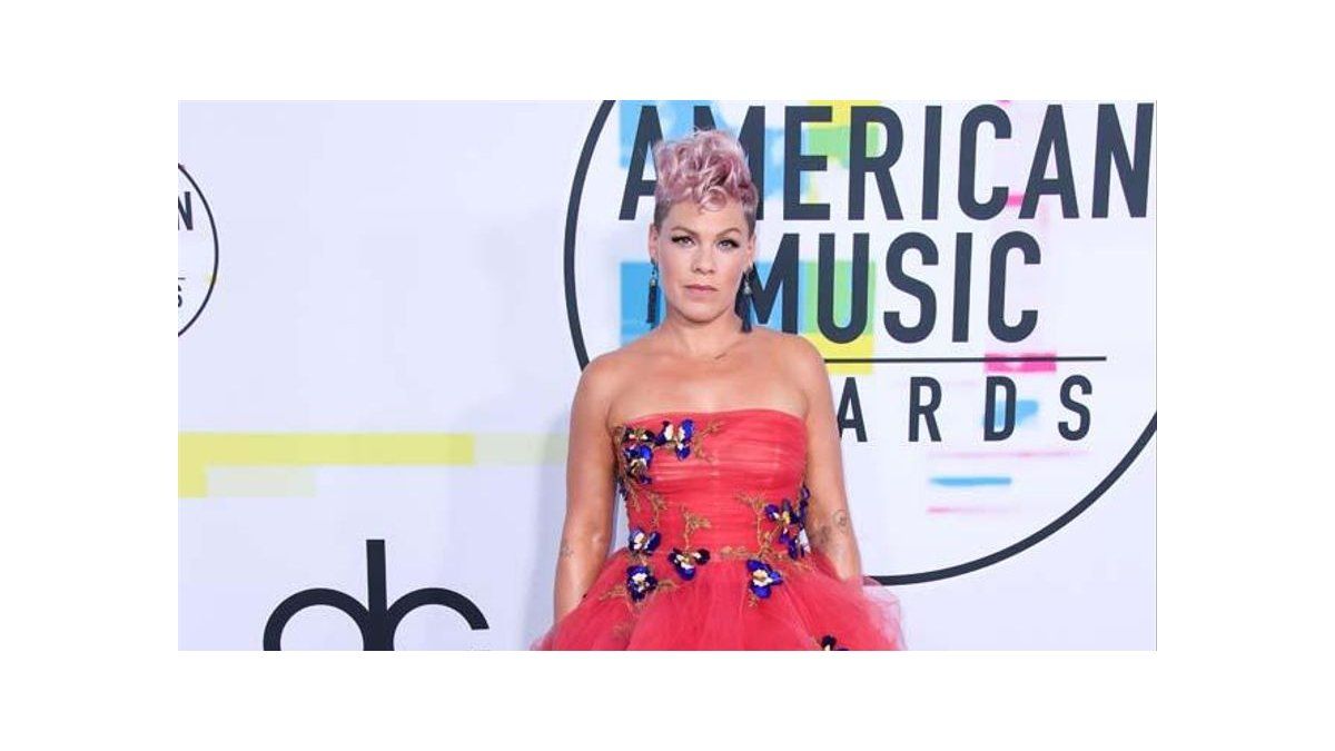 Pink es demasiado pasional para su propia seguridad