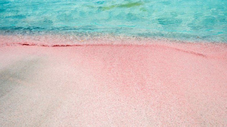 Conoce las playas con arena rosa que existen en el mundo