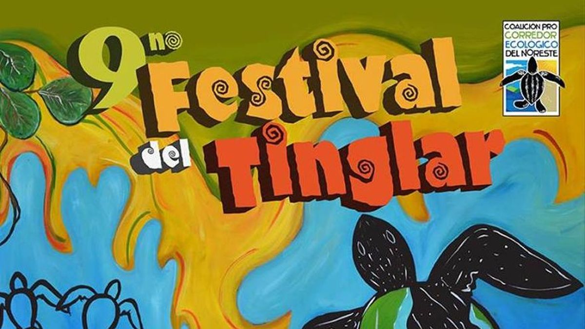 P.Rico acoge festival del tinglar, la tortuga marina más grande del planeta
