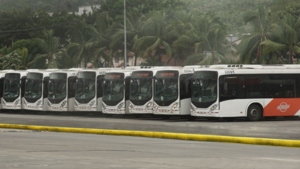 Metrobuses: ¿Cuántos se mantienen operativos actualmente?