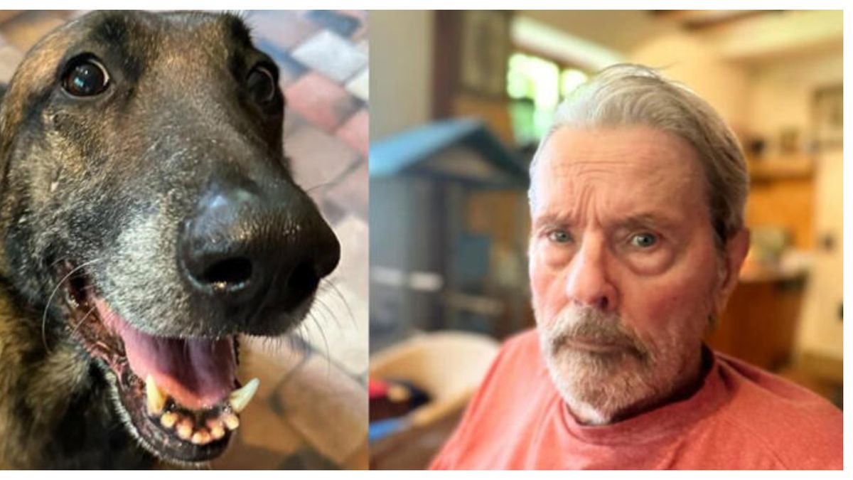 ¡Bravo! La Fundación Brigitte Bardot se opone al sacrificio del perro ...