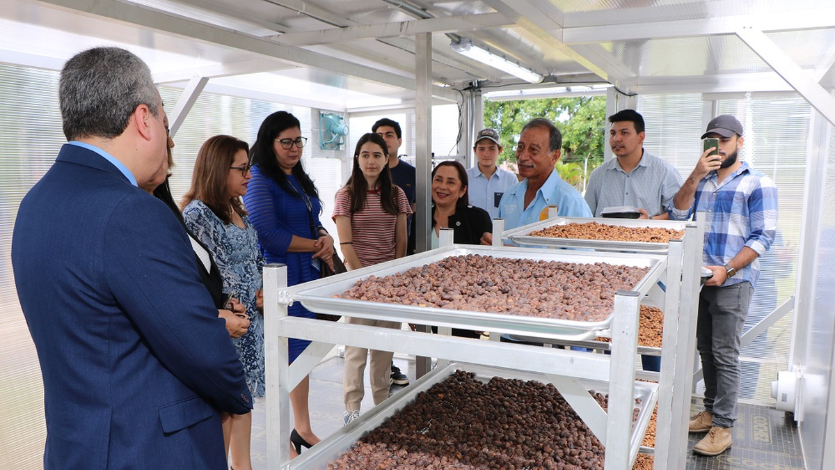 SENACYT lanza dos innovadores proyectos agrícolas