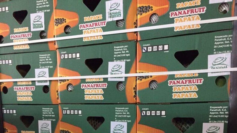 Unas 1080 cajas de papaya son el primer envío bajo el sello Panamá Exporta