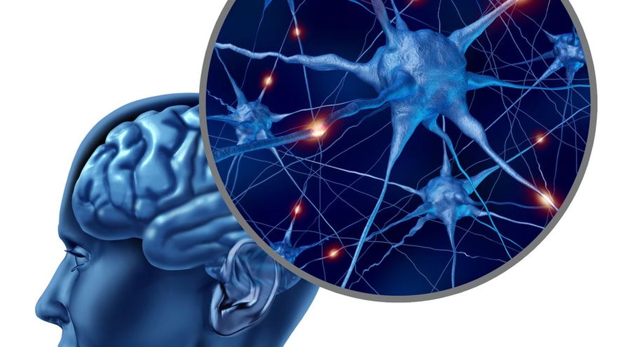 Demuestran que el cerebro sigue procesando estímulos durante el sueño