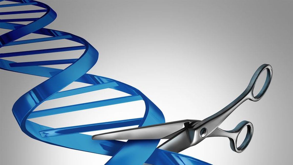 Científicos abren la puerta a la manipulación genética del ADN humano