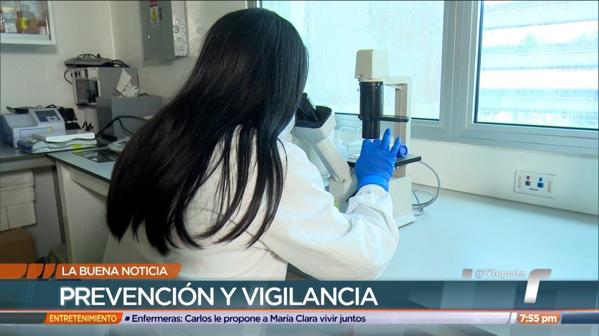 Científicos panameños validan nueva prueba diagnóstica del mal de Chagas