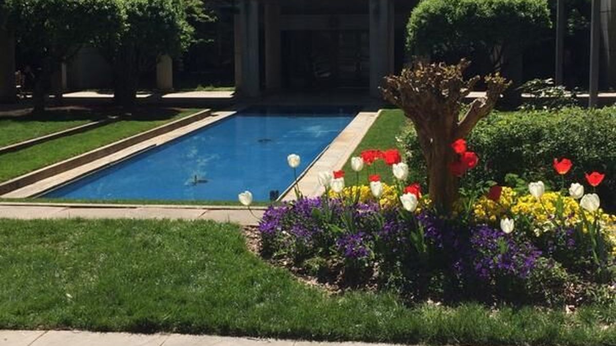 Centro Carter continuará su trabajo, incluido en América Latina