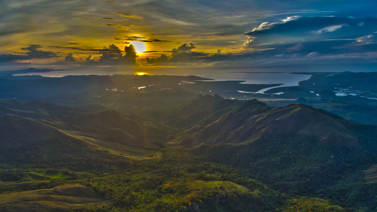 Bosques en Panamá: ¿Cuántos tipos hay en el país?