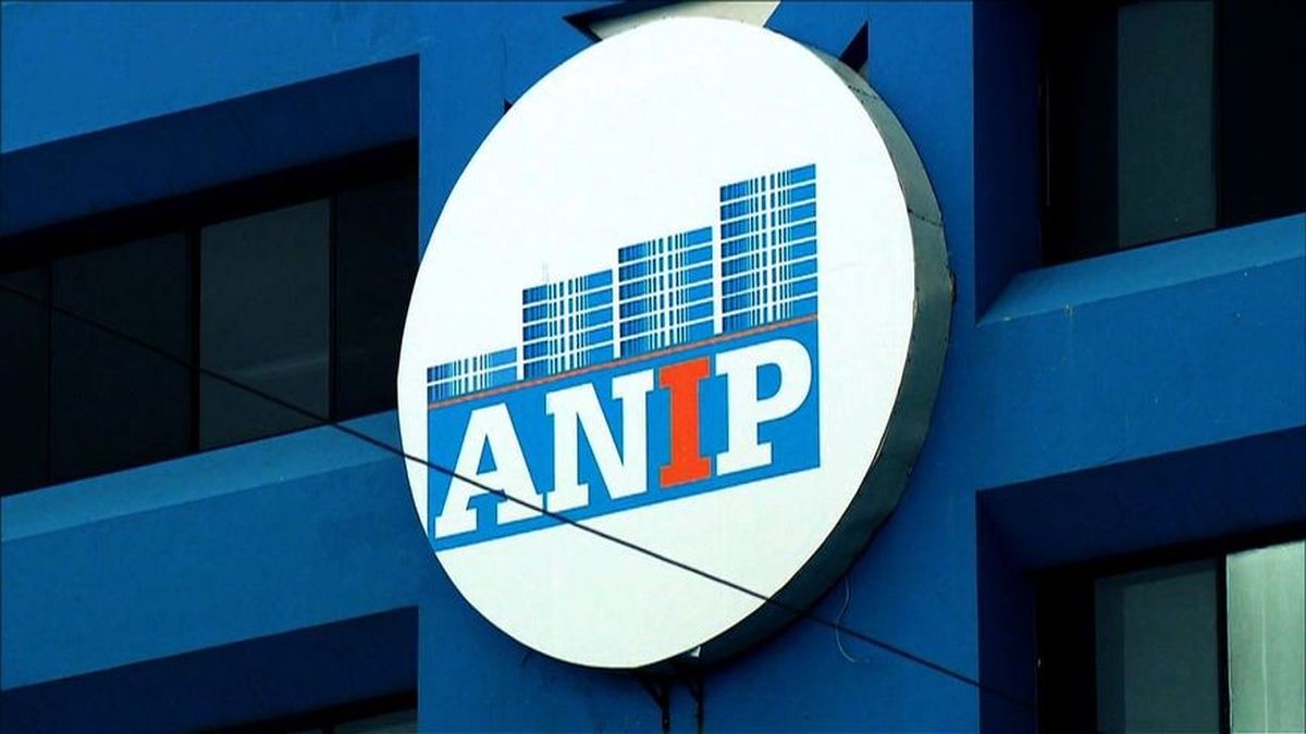 Reacciones ante la declaración de inconstitucionalidad en la ANIP
