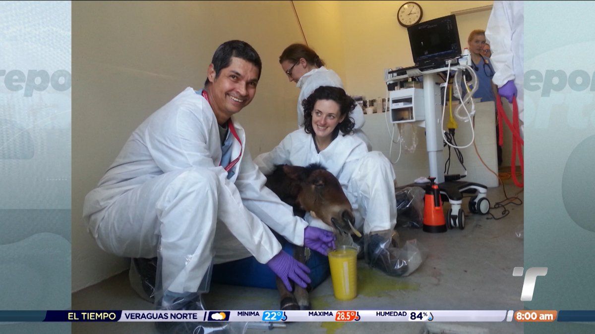 Mentes Brillantes: Ramiro Toribio, profesor distinguido en Estados Unidos